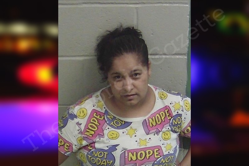 Laura Roldan — Wayne County Jail Bookings