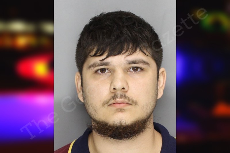 Morgan Sanchez — Cobb County Jail Bookings