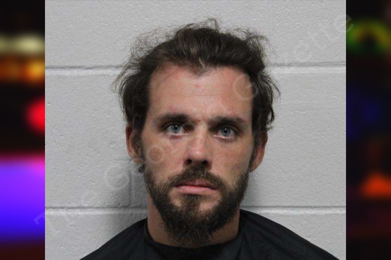 Justin Sanders — Habersham County Jail Bookings