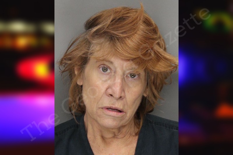 Sherry Shea — Cobb County Jail Bookings