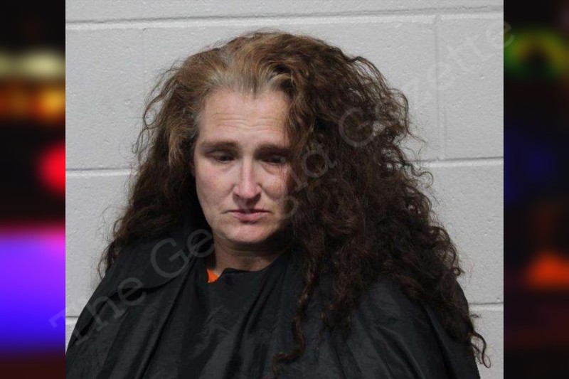 Susan Shook — Habersham County Jail Bookings