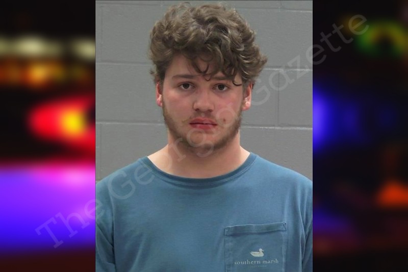 Hester Snipes — Baldwin County Jail Bookings