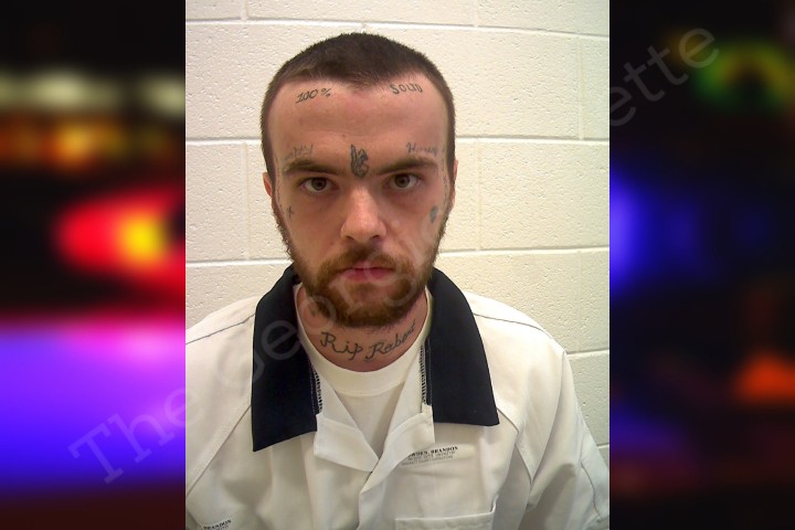 Brandon Snowden — Gwinnett County Jail Bookings