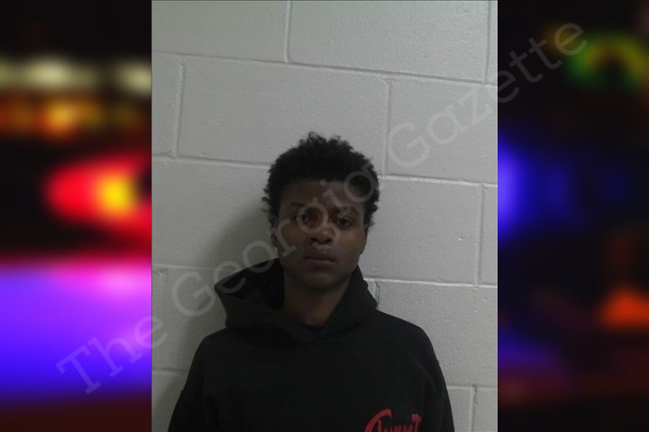 Jesse Stapleton | Decatur County Jail Bookings