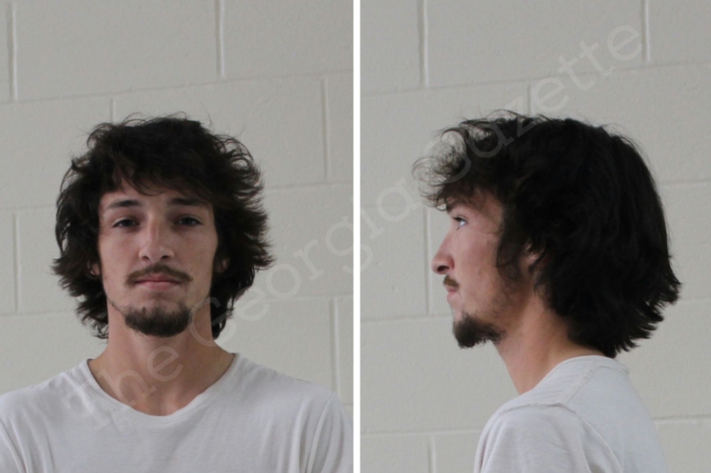 Michael Sapp — Houston County Jail Bookings