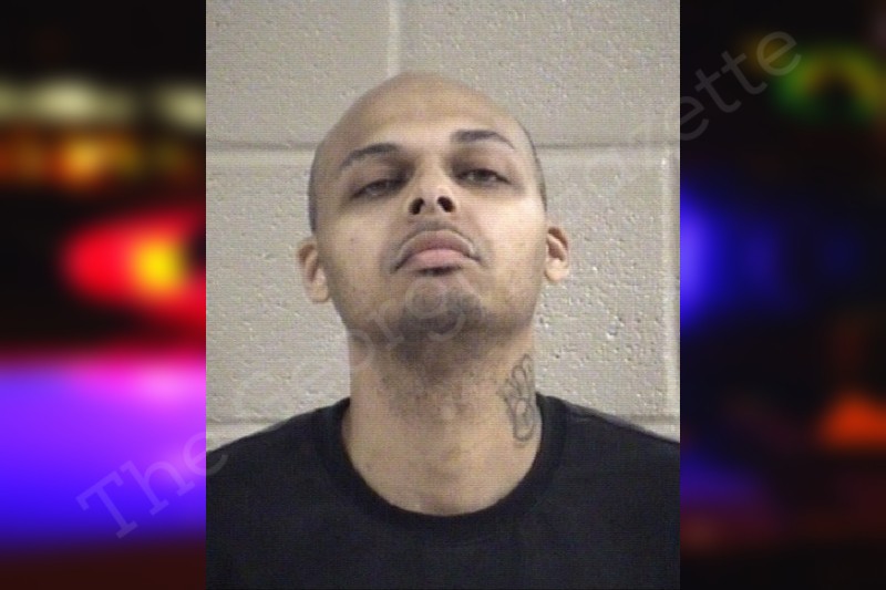 Cameron Searels — Whitfield County Jail Bookings