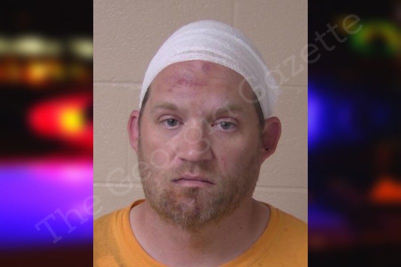 Christopher Stansell — Walker County Jail Bookings