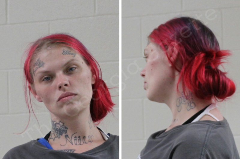 Ashley Stephens — Houston County