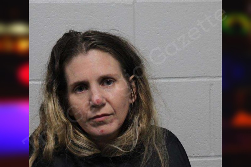 Jessica Taylor — Habersham County Jail Bookings