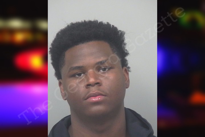 Michael Terry — Gwinnett County Jail Bookings