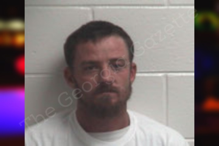 Michael Teal | Henry County