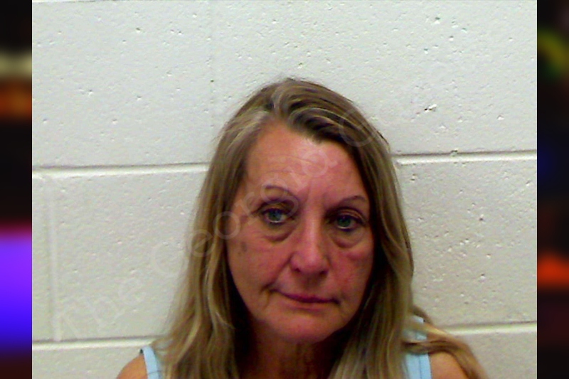 Christy Thompson — Bulloch County Jail Bookings