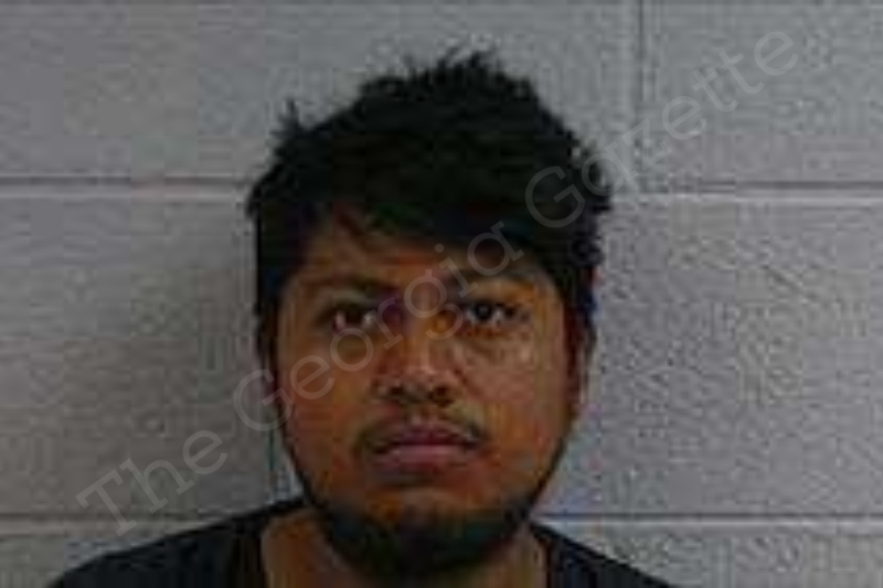 Dunga Tomas-Bernardo — Polk County Jail Bookings