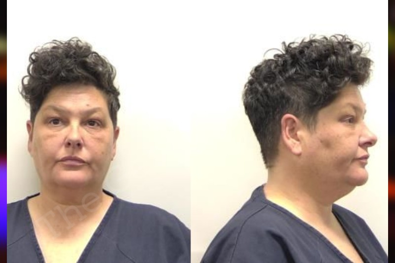 Megan Wilson — Clarke County Jail Bookings