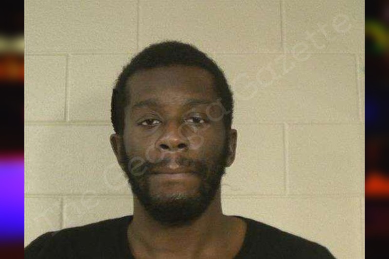 Deaudre Watson — Liberty County Jail Bookings