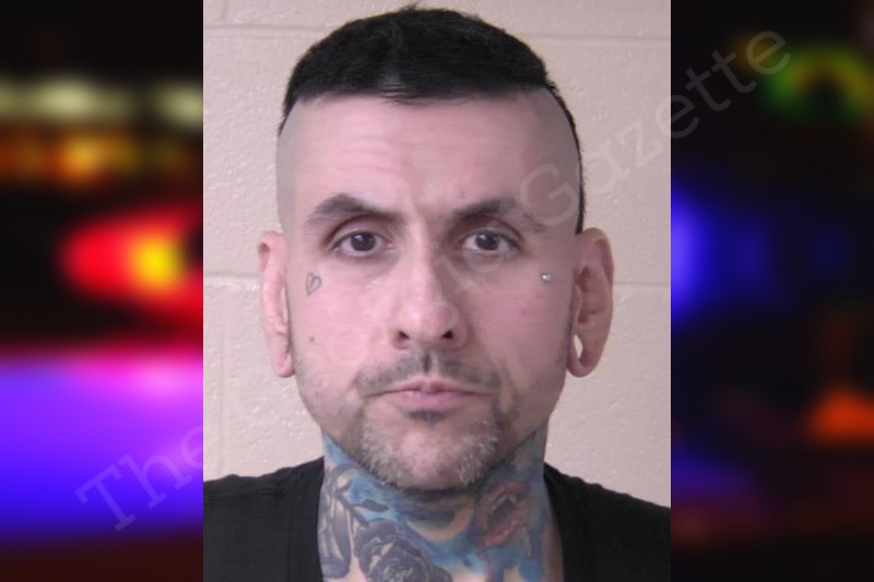 Joseph Whited — Walker County Jail Bookings