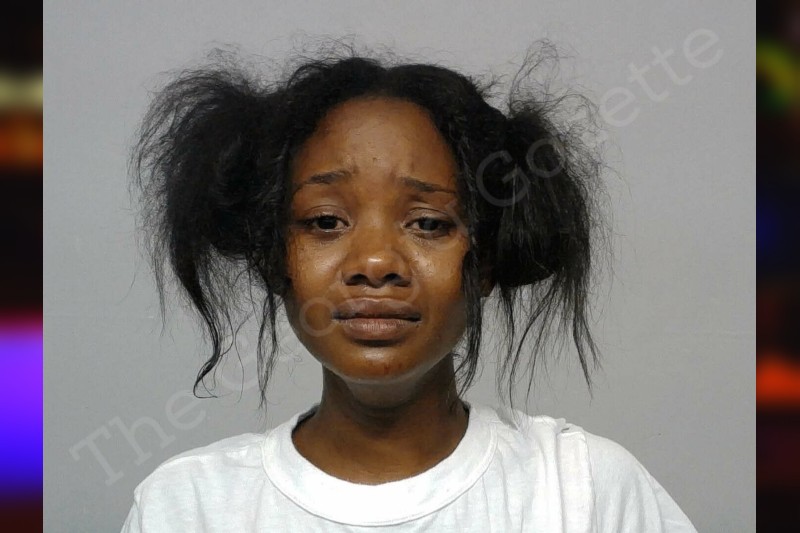 Whitney Davis — Bibb County Jail Bookings