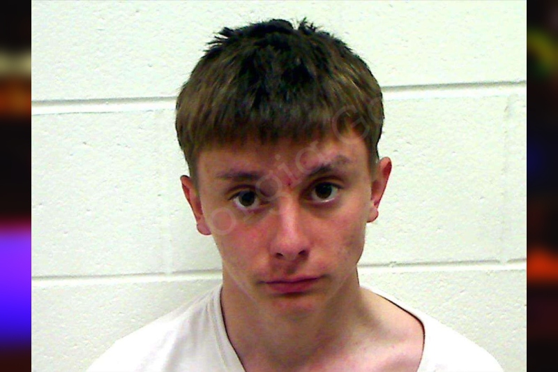 Riley Williams — Bulloch County Jail Bookings