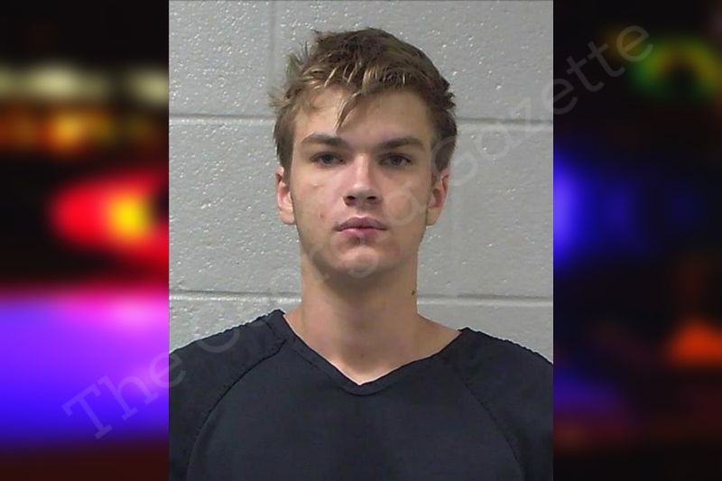 Jesse Wilson — Gilmer County Jail Bookings