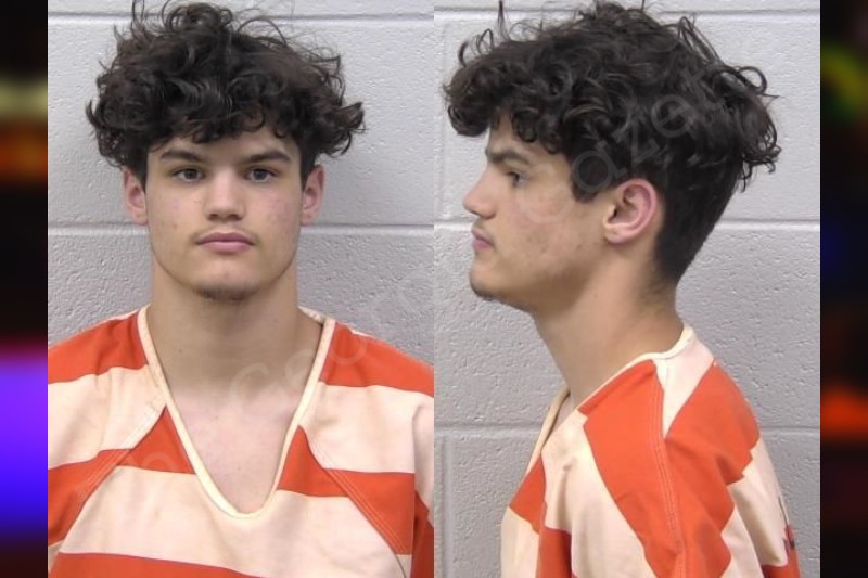 Kaleb Wilson — Paulding County Jail Bookings