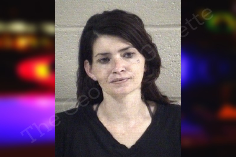 Vanessa Young — Whitfield County Jail Bookings