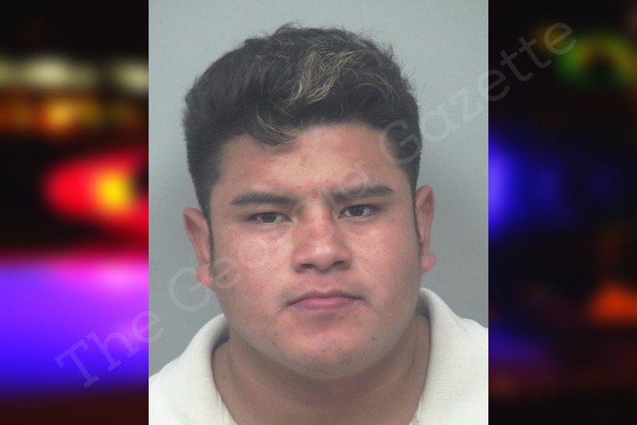 Rogelio Alejo Ramirez — Gwinnett County Jail Bookings