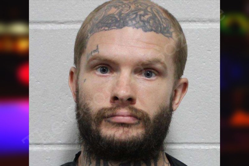 David Arrowood | Habersham County