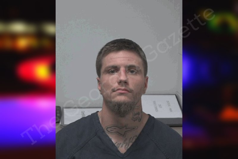 Joshua Adamson | Coweta County