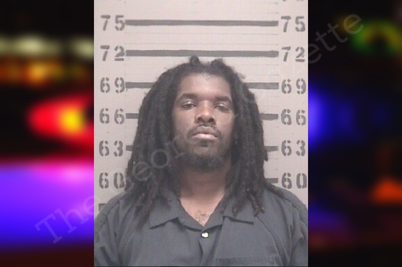 Lavener Alexis — Dougherty County Jail Bookings