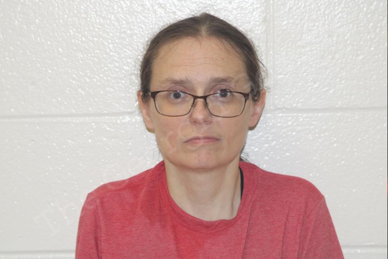 Lisa Barnes — Jones County Jail Bookings