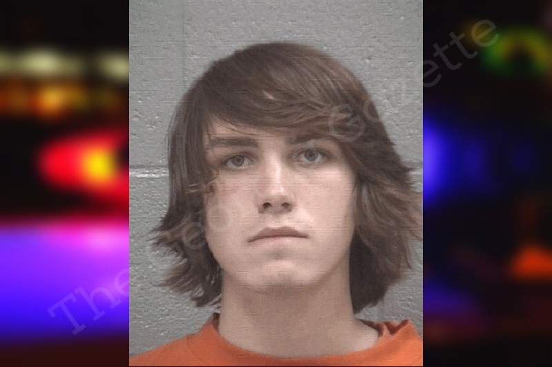 Tristen Brinson — Columbia County Jail Bookings