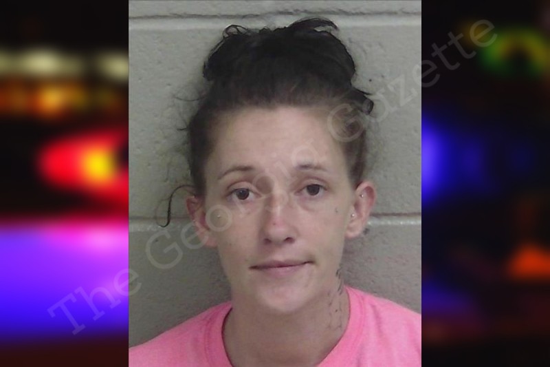 Toni Barnard — Wayne County Jail Bookings