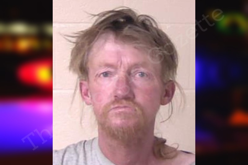 Daniel Bayne — Walker County Jail Bookings