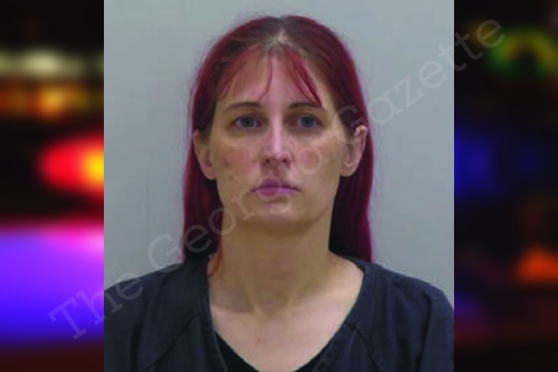 Julie Burling — Bartow County Jail Bookings