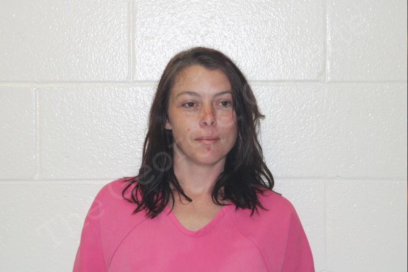 Monica Collins — Jones County Jail Bookings