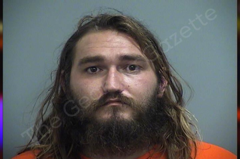 Brandon Carpenter — Effingham County Jail Bookings