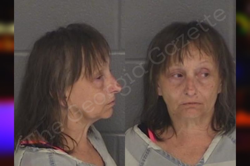 Amy Chancey — Barrow County Jail Bookings