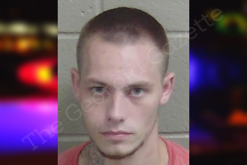 Carson Chapman — Wayne County Jail Bookings