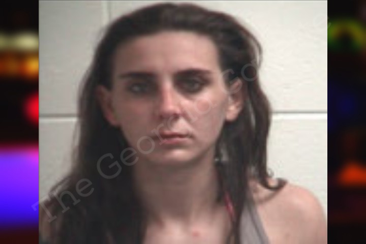 Brenda Cochran — Henry County Jail Bookings