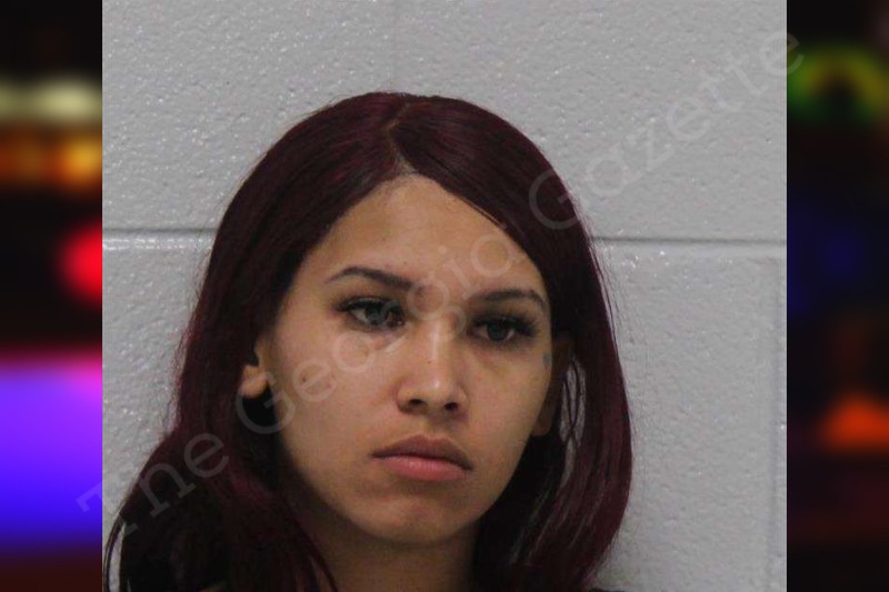 Breonna Daniel — Carroll County Jail Bookings