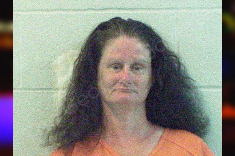Tonya Deal — Stephens County Jail Bookings