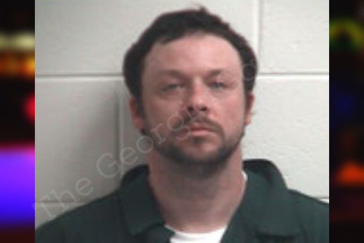 Dillon Dee — Henry County Jail Bookings