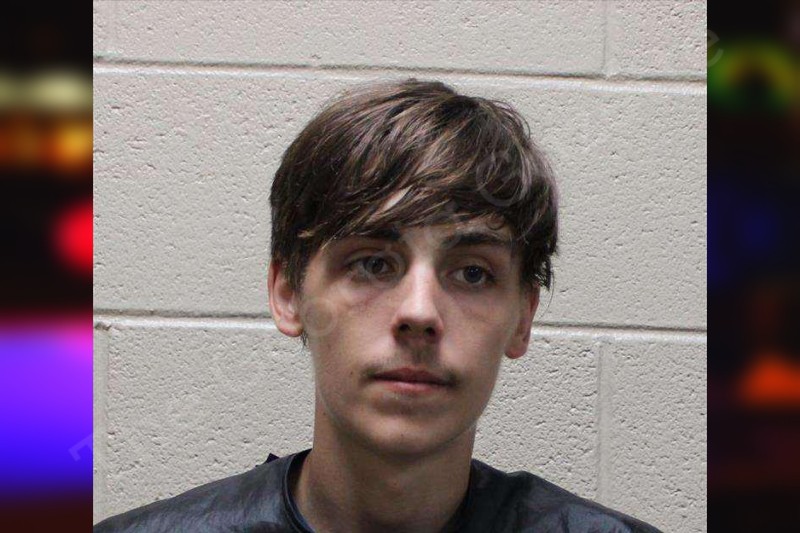 Dakota Deese — Haralson County Jail Bookings