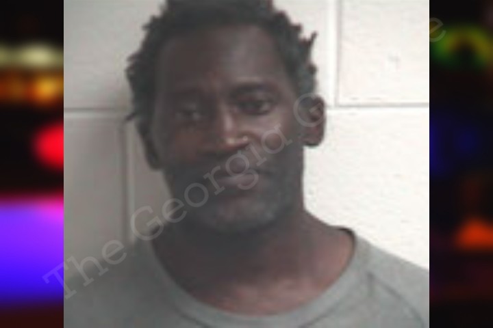 Michael Denmark — Henry County Jail Bookings