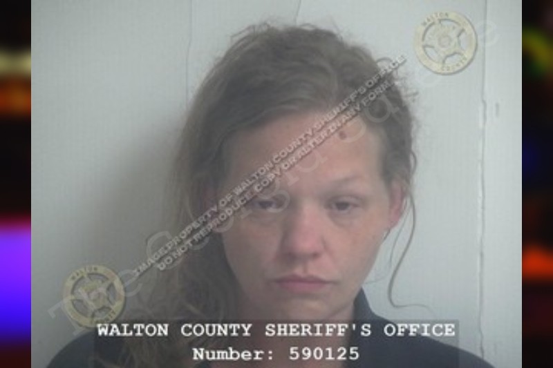 Lisa Dingler — Walton County Jail Bookings