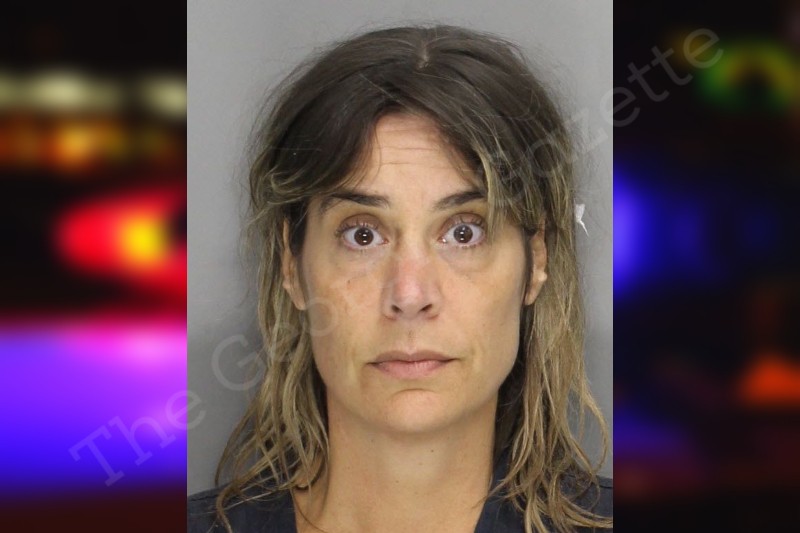 Elizabeth Drabick — Cobb County Jail Bookings