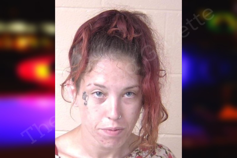 Caitlin Dalich — Walker County Jail Bookings
