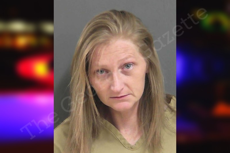 Tiffany Elkins — Gordon County Jail Bookings