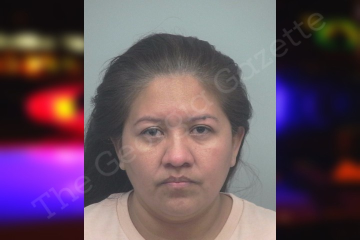 Flor Fernandez — Gwinnett County Jail Bookings