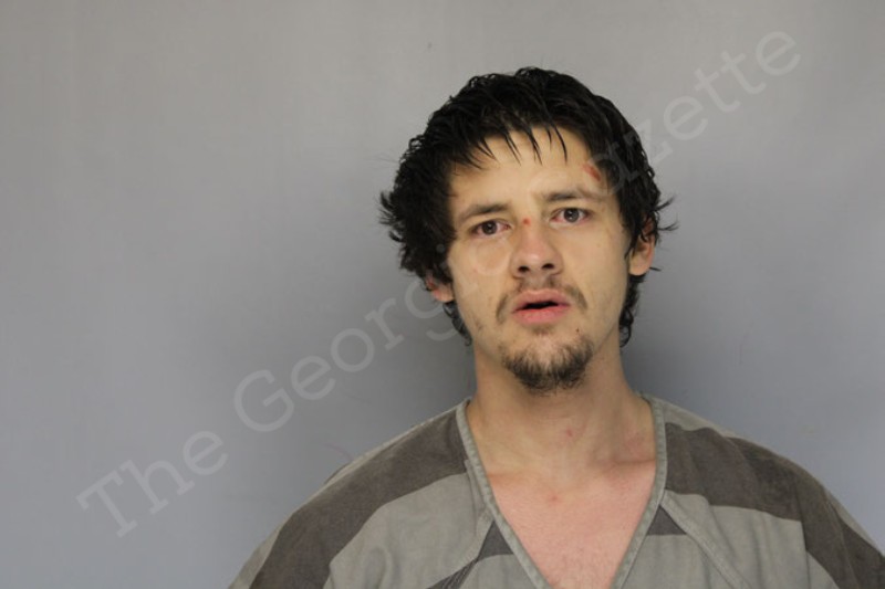 James Fortner — Hall County Jail Bookings